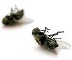 Mining services firms dropping like flies - MacroBusiness