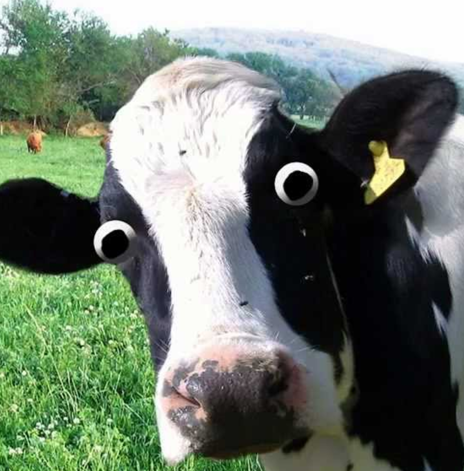 David Uren mounts immigration sacred cow - MacroBusiness