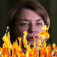 Evil Anna plays too-big-to-fail card - MacroBusiness