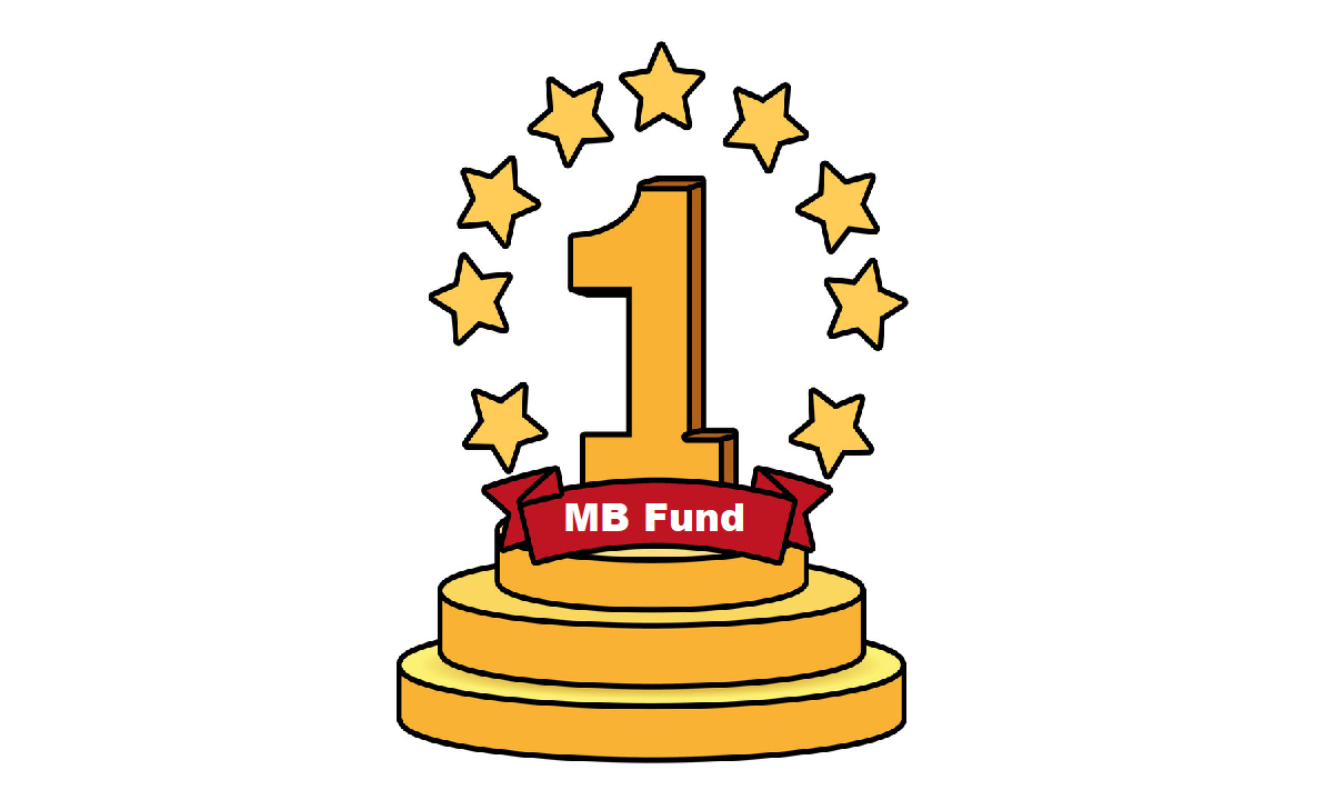 MB Fund takes gold medal in 2020 performance - MacroBusiness