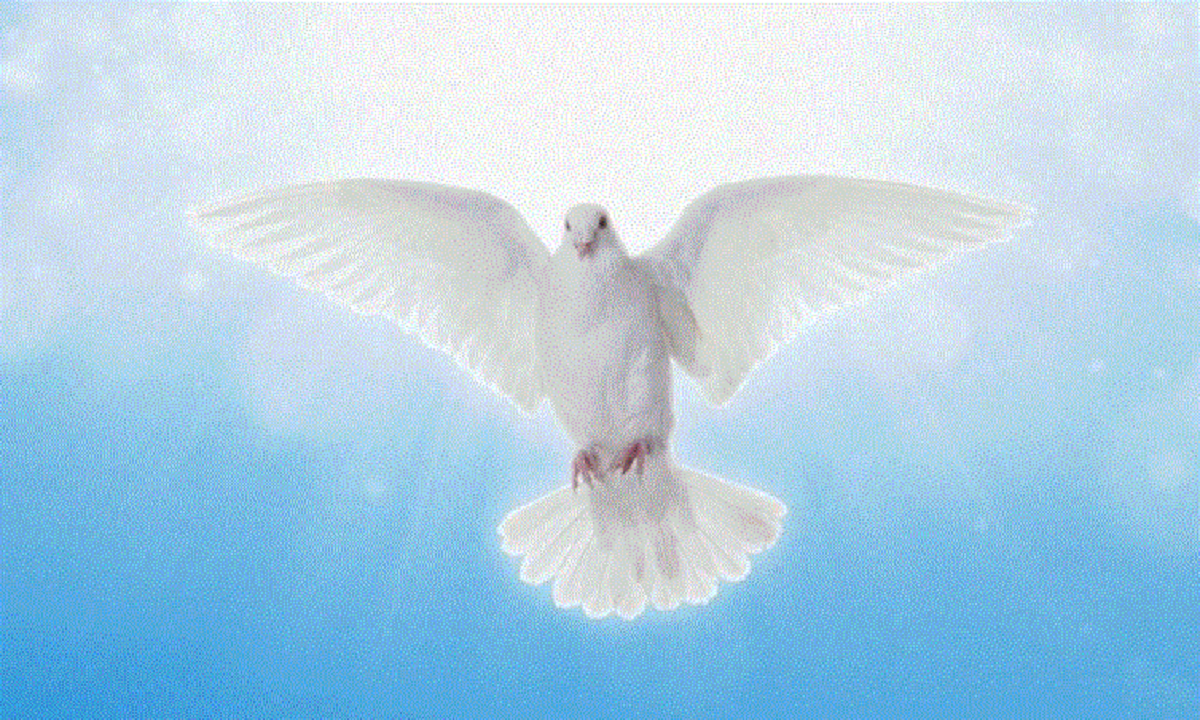 Uber-dovish RBA pecks at Australian dollar - MacroBusiness