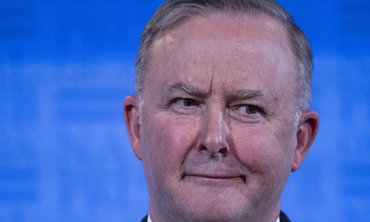 Albo cashes investment property as negative gearing reform scrapped ...