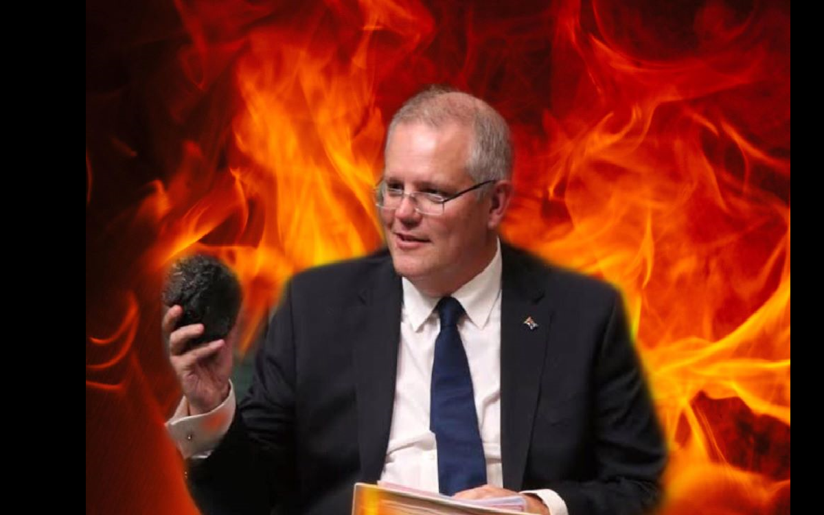 Sly ScoMo's net-zero commitment to carbon mitigation - MacroBusiness