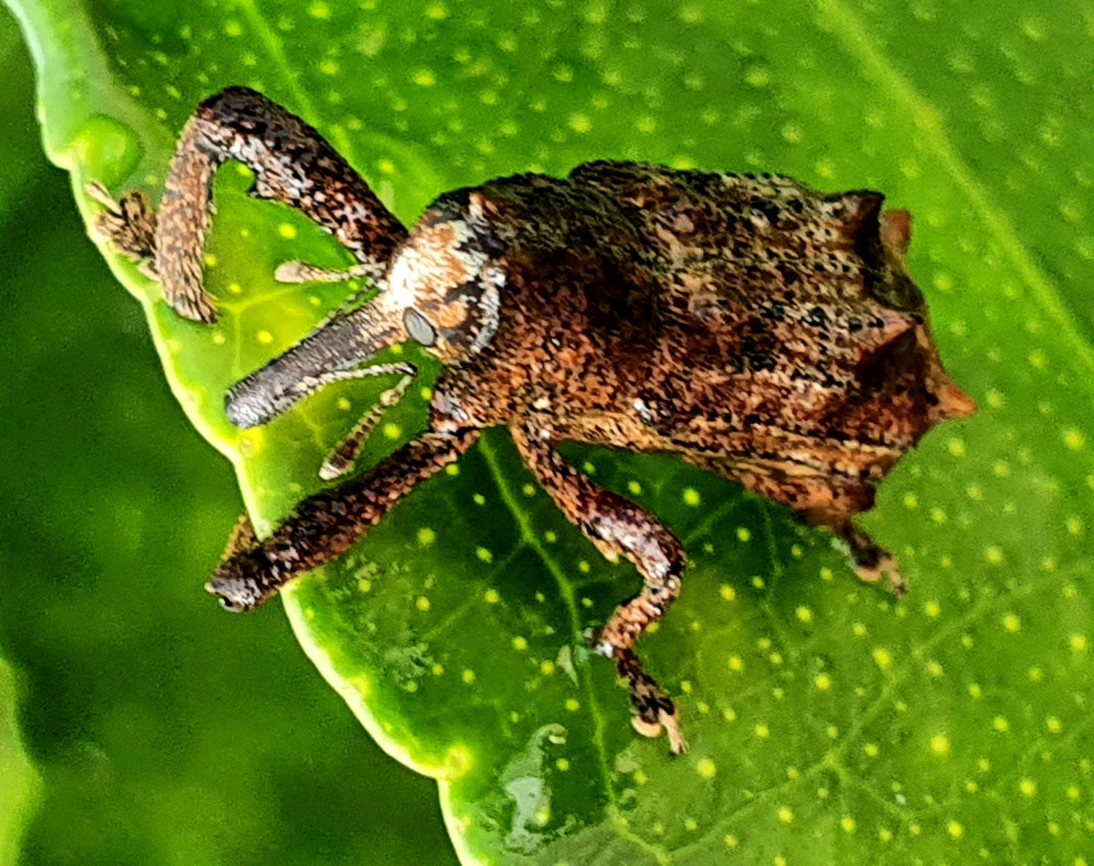 Weekend Sundries 30 January 2022 - MacroBusiness