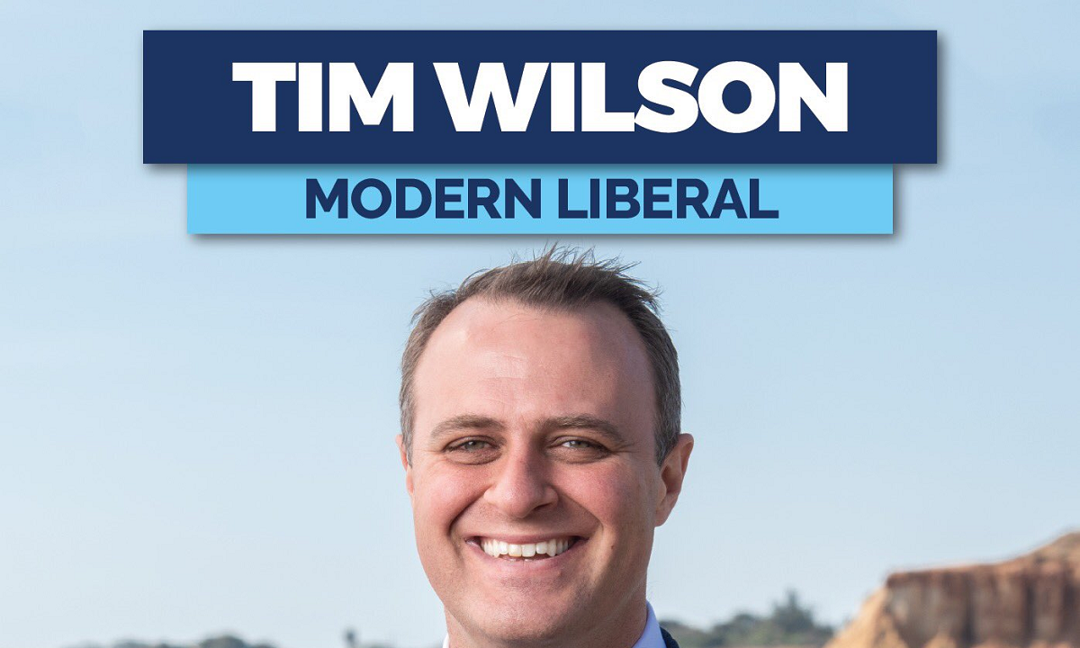Why it's time Goldstein sent "Tiny" Tim Wilson into the wilderness ...