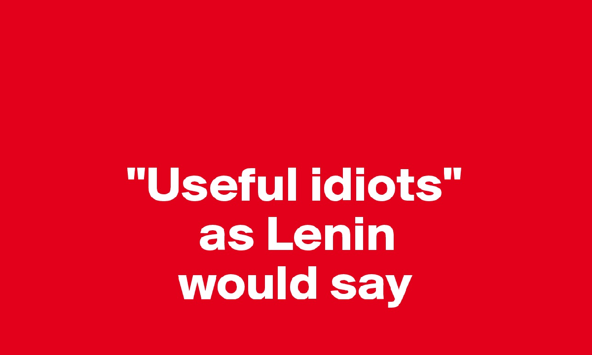 China fanboi's back in the swing - MacroBusiness