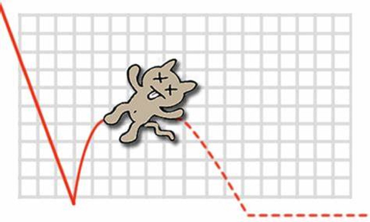 Aussie leading index dead cat bounces - MacroBusiness