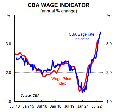 CBA: RBA to mull double rate hike! - MacroBusiness